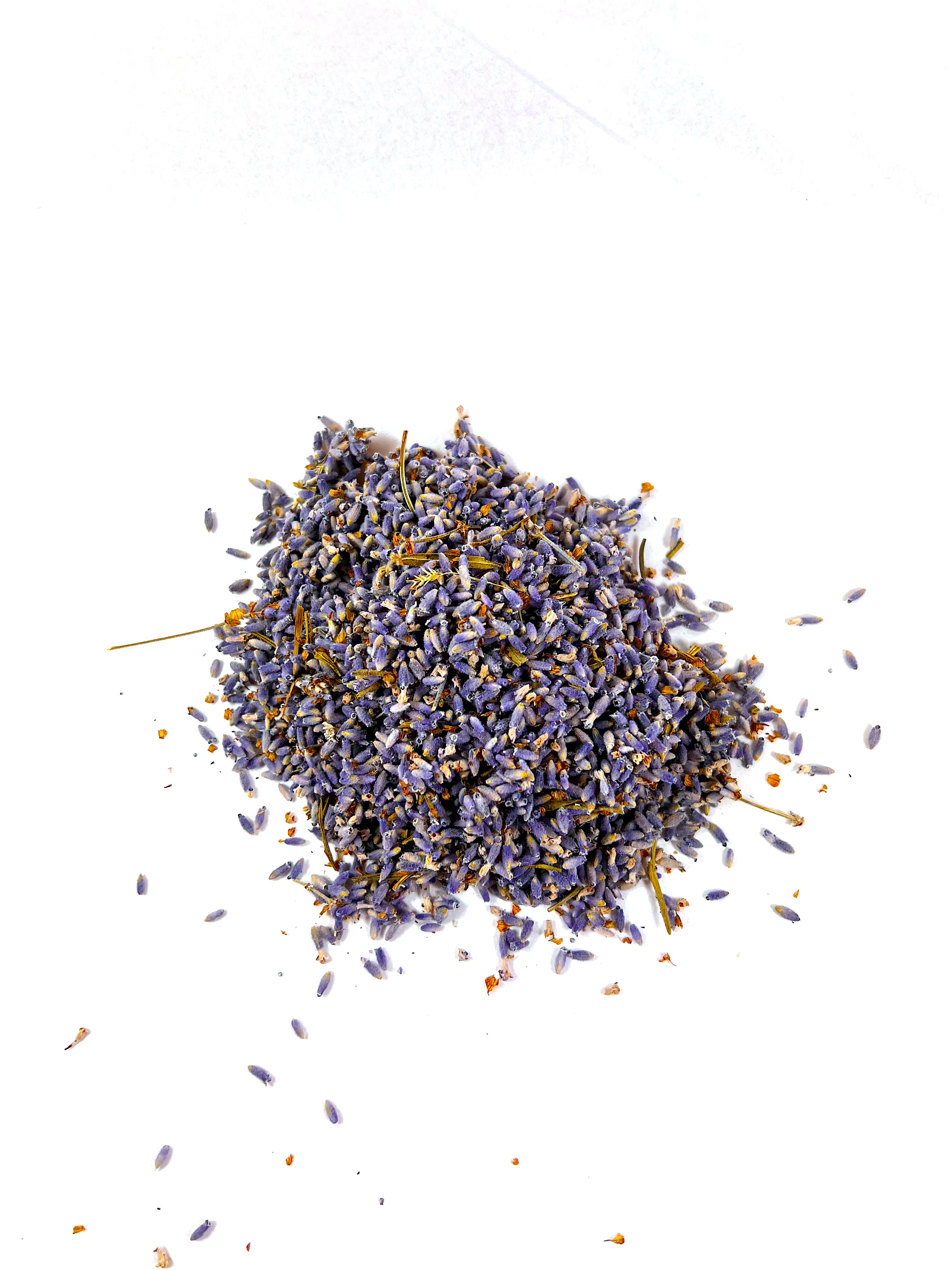 DRIED PACIFIC BLUE LAVENDER – TUTU RONGOĀ MĀORI