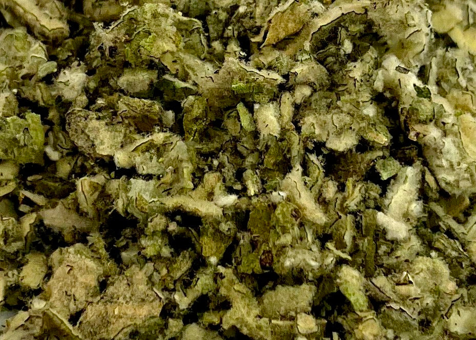 DRIED MULLEIN LEAF & FLOWER – TUTU RONGOĀ MĀORI