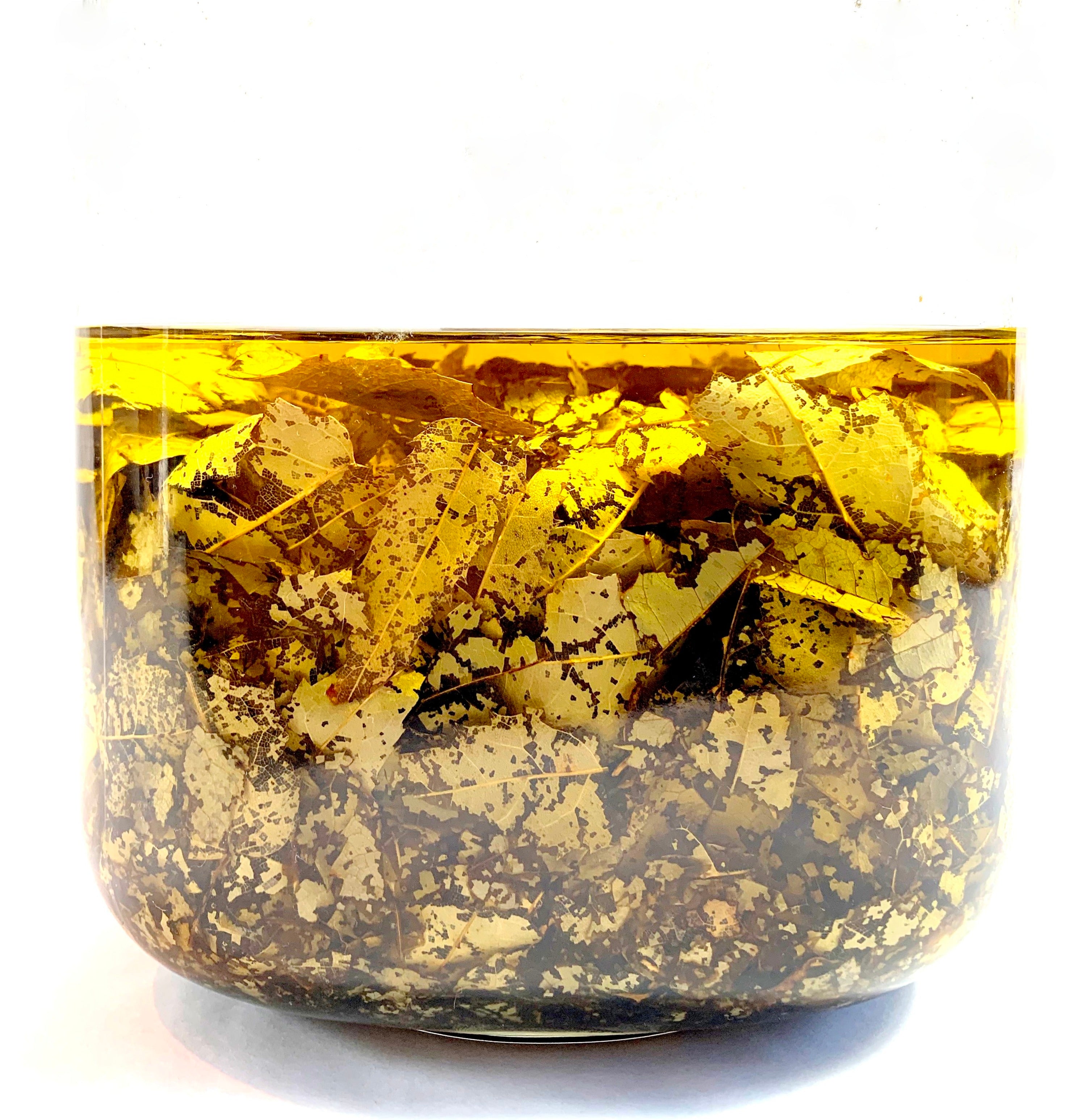 TĀTARĀMOA TINCTURE – TUTU RONGOĀ MĀORI